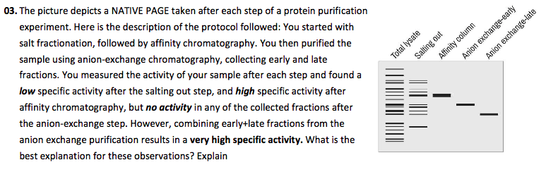 Solved The picture depicts a NATIVE PAGE taken after each | Chegg.com