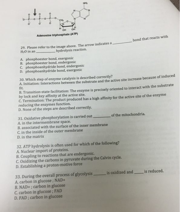 Solved please help me with this biology review | Chegg.com