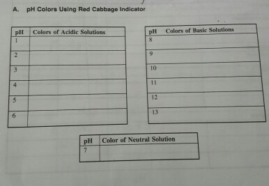 Solved pH Colors Using Red cabbage indicator | Chegg.com