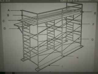 Solved label the scaffolding diagram | Chegg.com