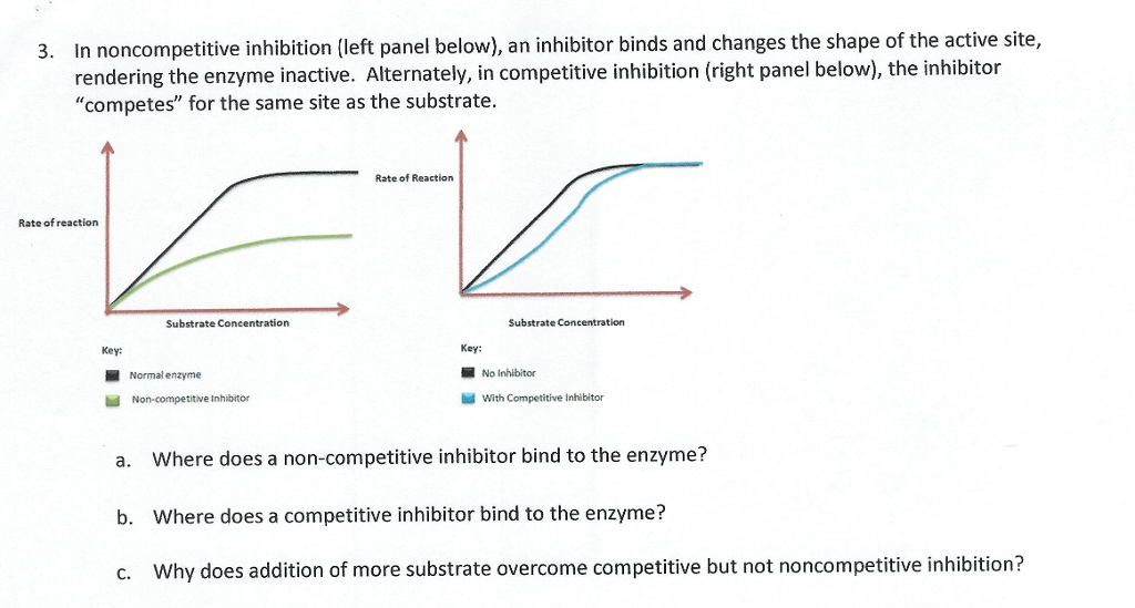 Solved A Conditional Mutation Is A Mutation That Has Wild Type Or Less 1 Answer