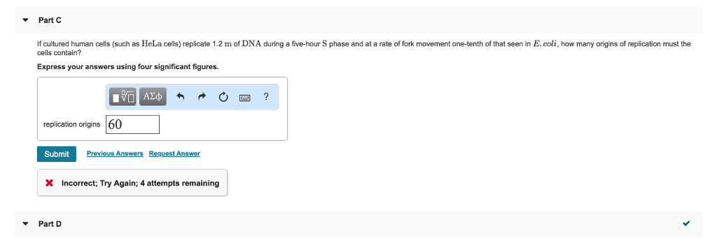 Solved The E Coli Chromosome Is 128 Mm Long Under Optimal 1265