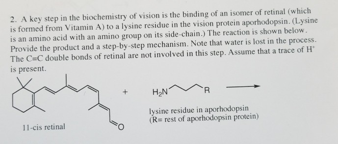 Solved 2. A key step in the biochemistry of vision is the | Chegg.com