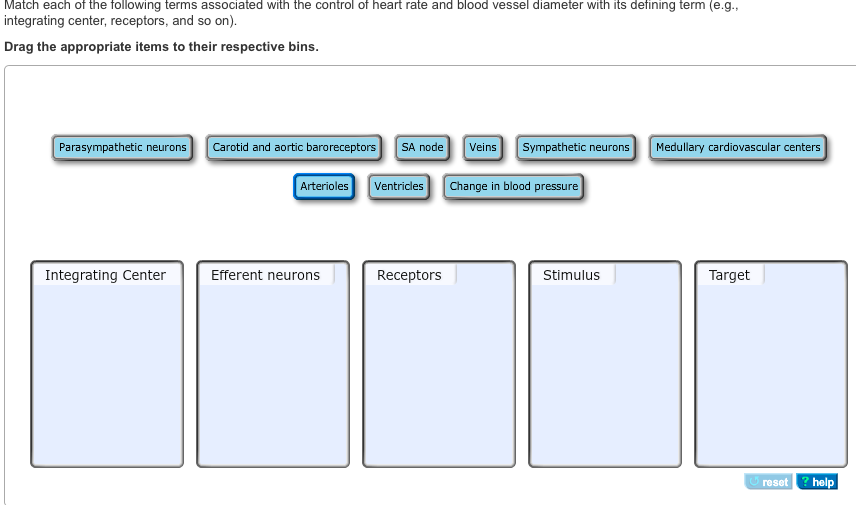 Solved Match each of the following terms associated with the | Chegg.com