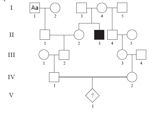 Solved Pedigrees For each of the following pedigrees, give | Chegg.com Solved Pedigrees For each of the following pedigrees, give | Chegg.com