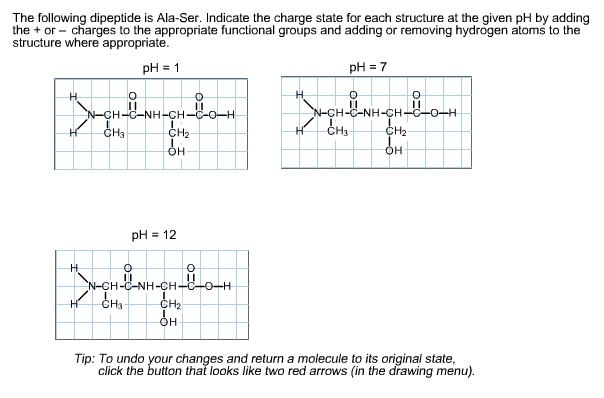 Solved The following dipeptide is Ala-Ser. Indicate the | Chegg.com