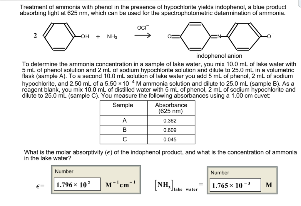 Treatment of ammonia with phenol in the presence of | Chegg.com