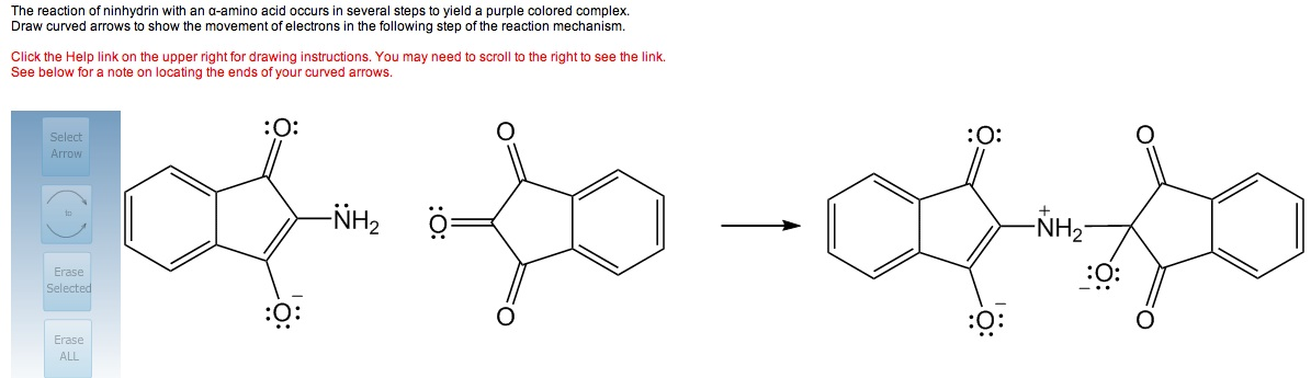 Solved The reaction of ninhydrin with an a-amino acid occurs | Chegg.com