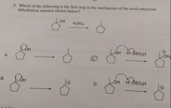 Solved 6. Which of the following is the first step in the | Chegg.com