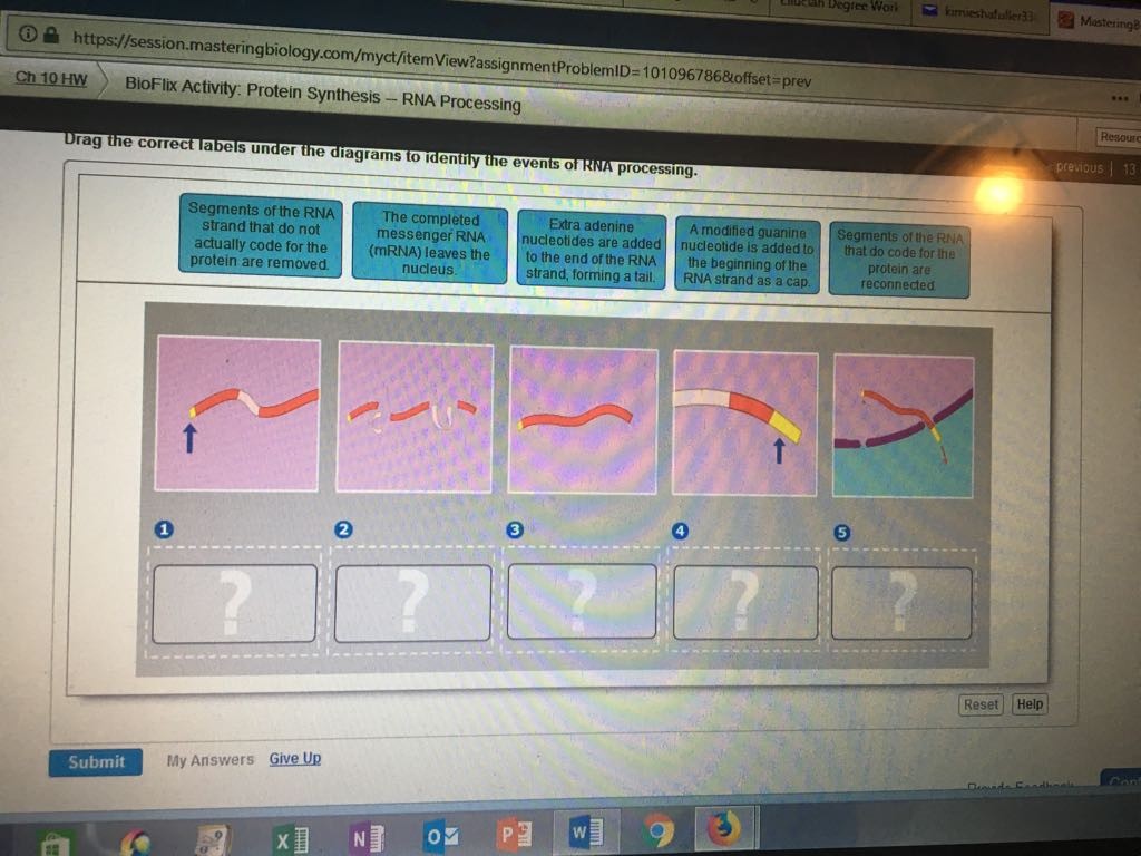 Solved: Masteringe Https://session.masteringbiology.com/my... | Chegg.com