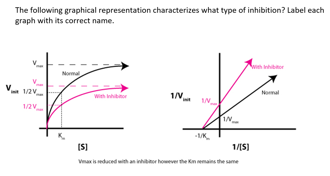 Solved The following graphical representation characterizes | Chegg.com