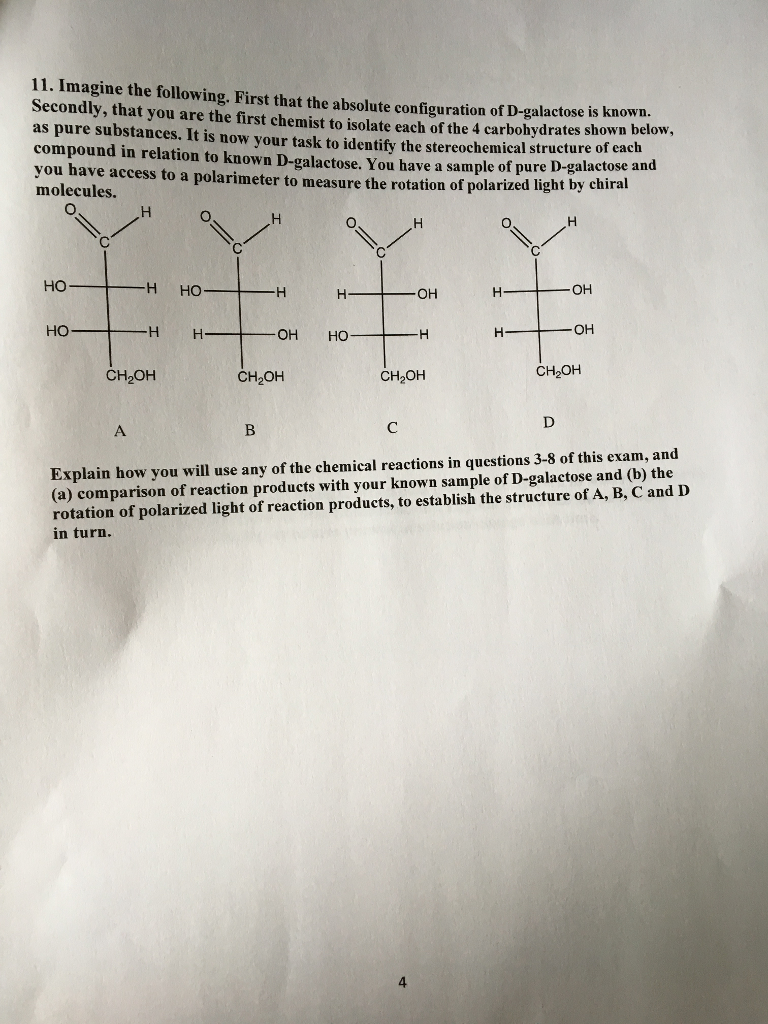Solved 11. Imagine the following. First that the absolute | Chegg.com