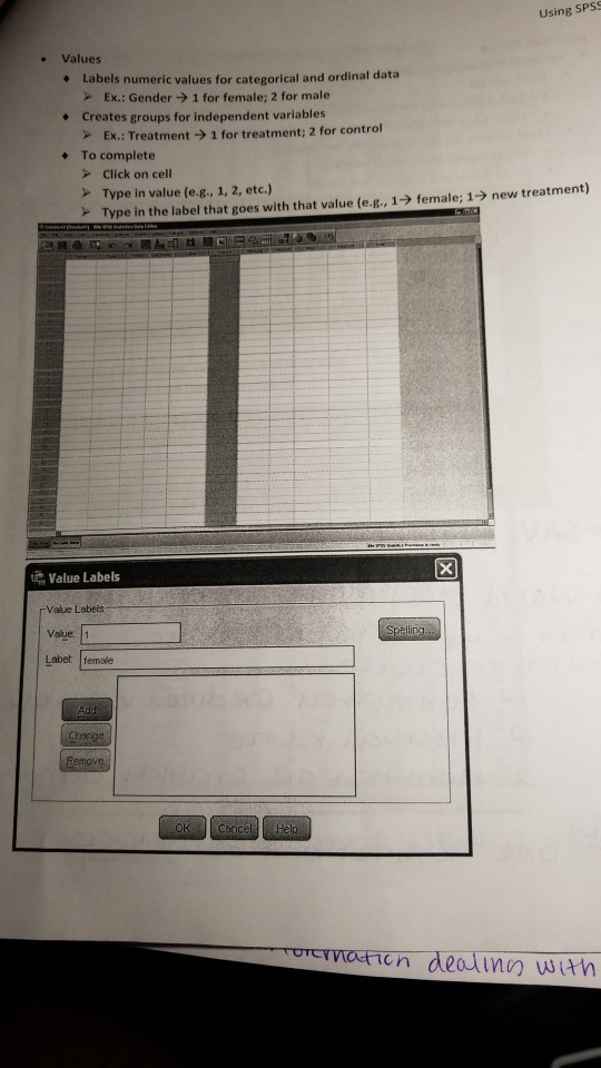 Spss Assig Nment Using Spss 1 Using Spss To Enter And