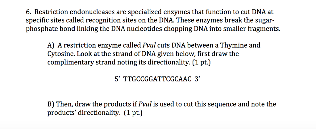Solved Restriction endonucleases are specialized enzymes | Chegg.com