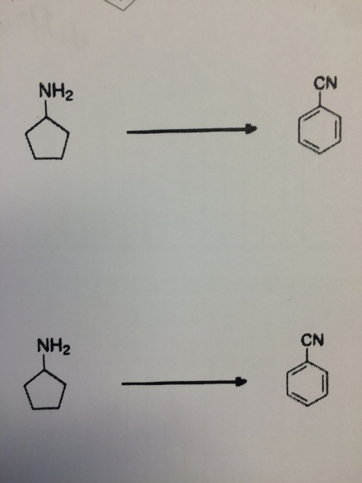 Solved NH NH2 CN CN | Chegg.com
