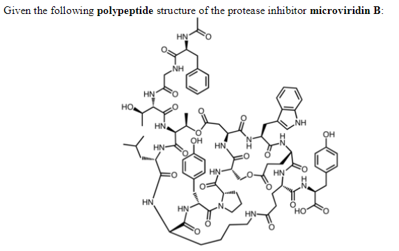 Given the following polypeptide structure of the | Chegg.com