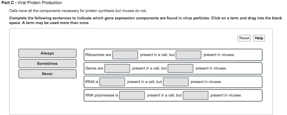 Solved Cells have all the components necessary for protein | Chegg.com