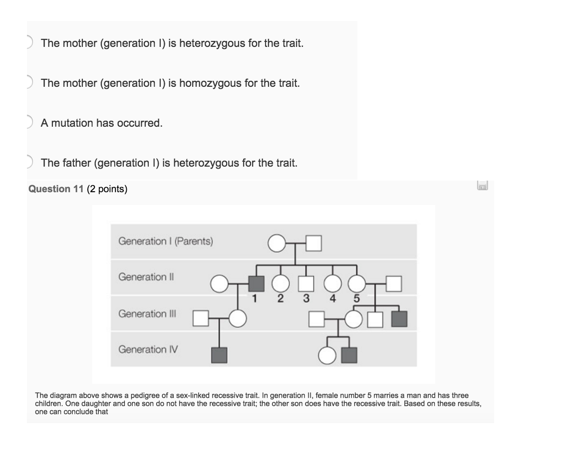 Solved The mother (generation I) is heterozygous for the | Chegg.com