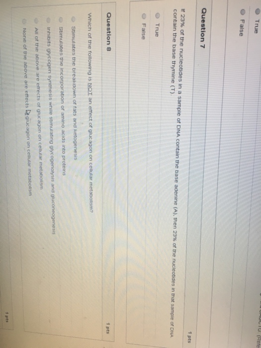 Solved If 23% of the nucleotides in a sample of DNA contain | Chegg.com
