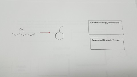 Solved OH Functional Groups unctional Group in Product: | Chegg.com