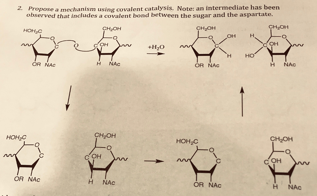 Solved 2. Propose a mechanism using covalent catalysis. | Chegg.com