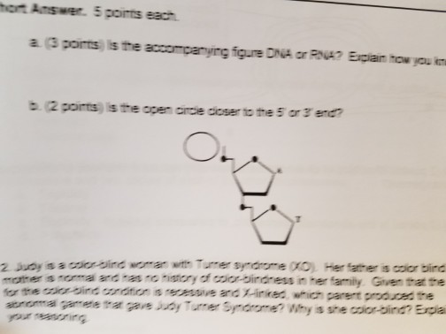 Solved hortAnswer. 5 points each a 3 points is the | Chegg.com