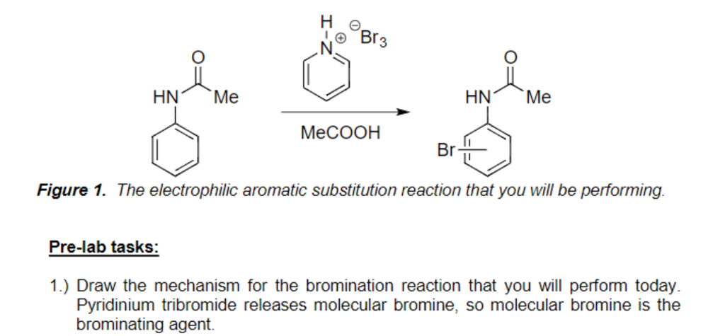 Solved The electrophilic aromatic substitution reaction | Chegg.com