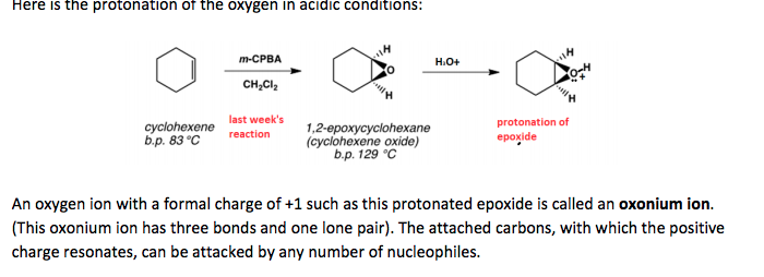 Solved Here is the protonation of the oxygen in acidic | Chegg.com