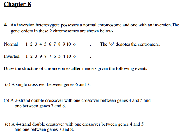 An Inversion Heterozygote Possesses A Normal