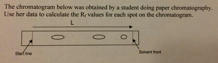 Solved The chromatogram below was obtained by a student | Chegg.com