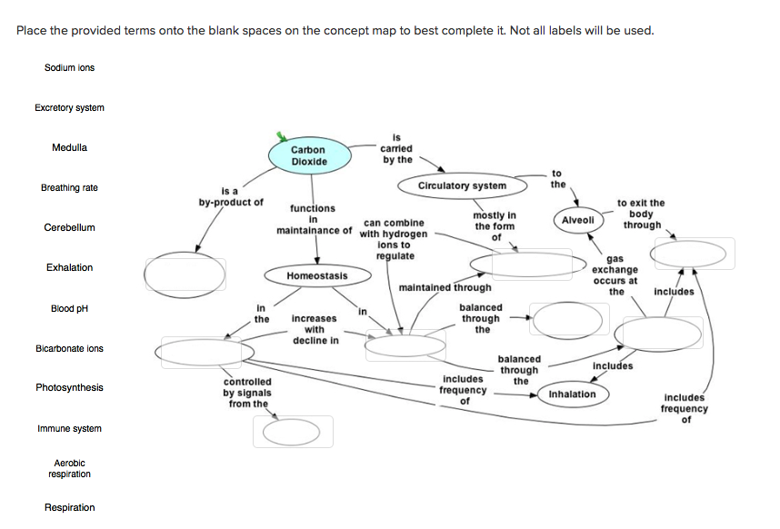 Solved Place the provided terms onto the blank spaces on the | Chegg.com