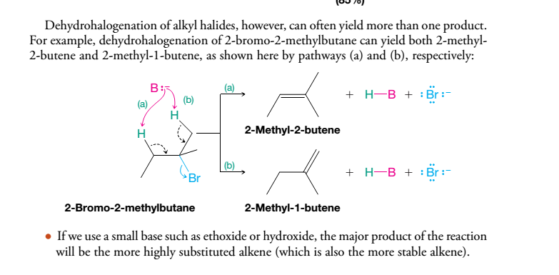Solved Why can't the methyl group next to the Br be a beta | Chegg.com
