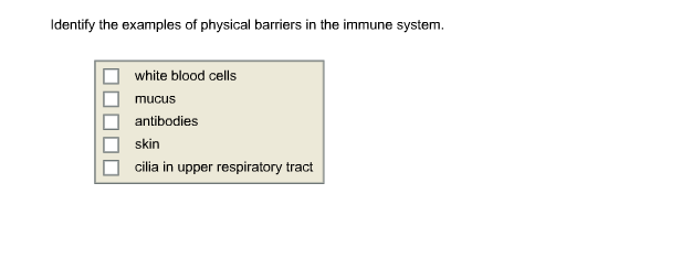 Solved Identify the examples of physical barriers in the | Chegg.com