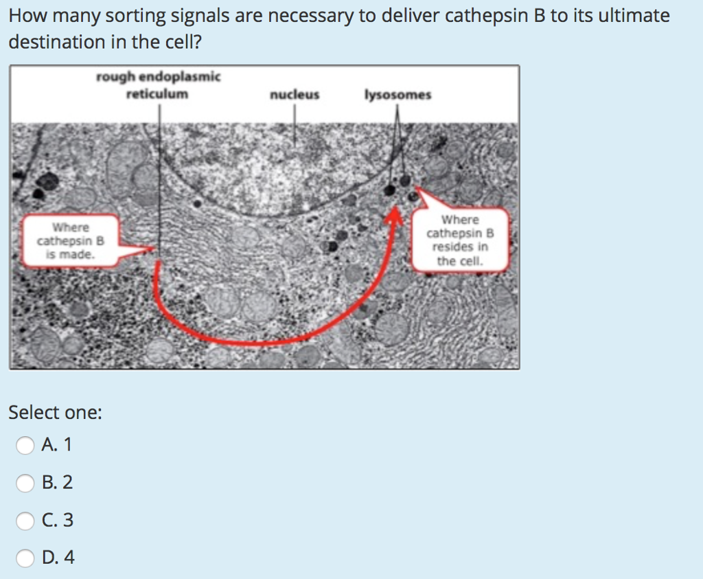 How many sorting signals are necessary to deliver | Chegg.com