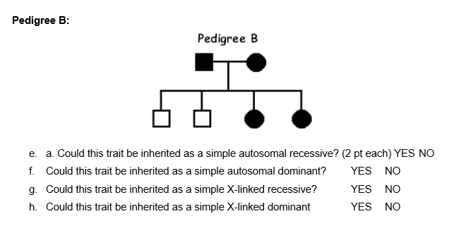 Solved e. a Could this trait be inherited as a simple | Chegg.com