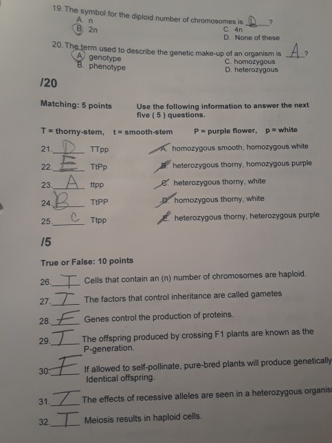 Solved 19. The symbol for the diploid number of chromosomes | Chegg.com