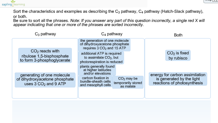 Solved Sort the characteristics and examples as describing | Chegg.com