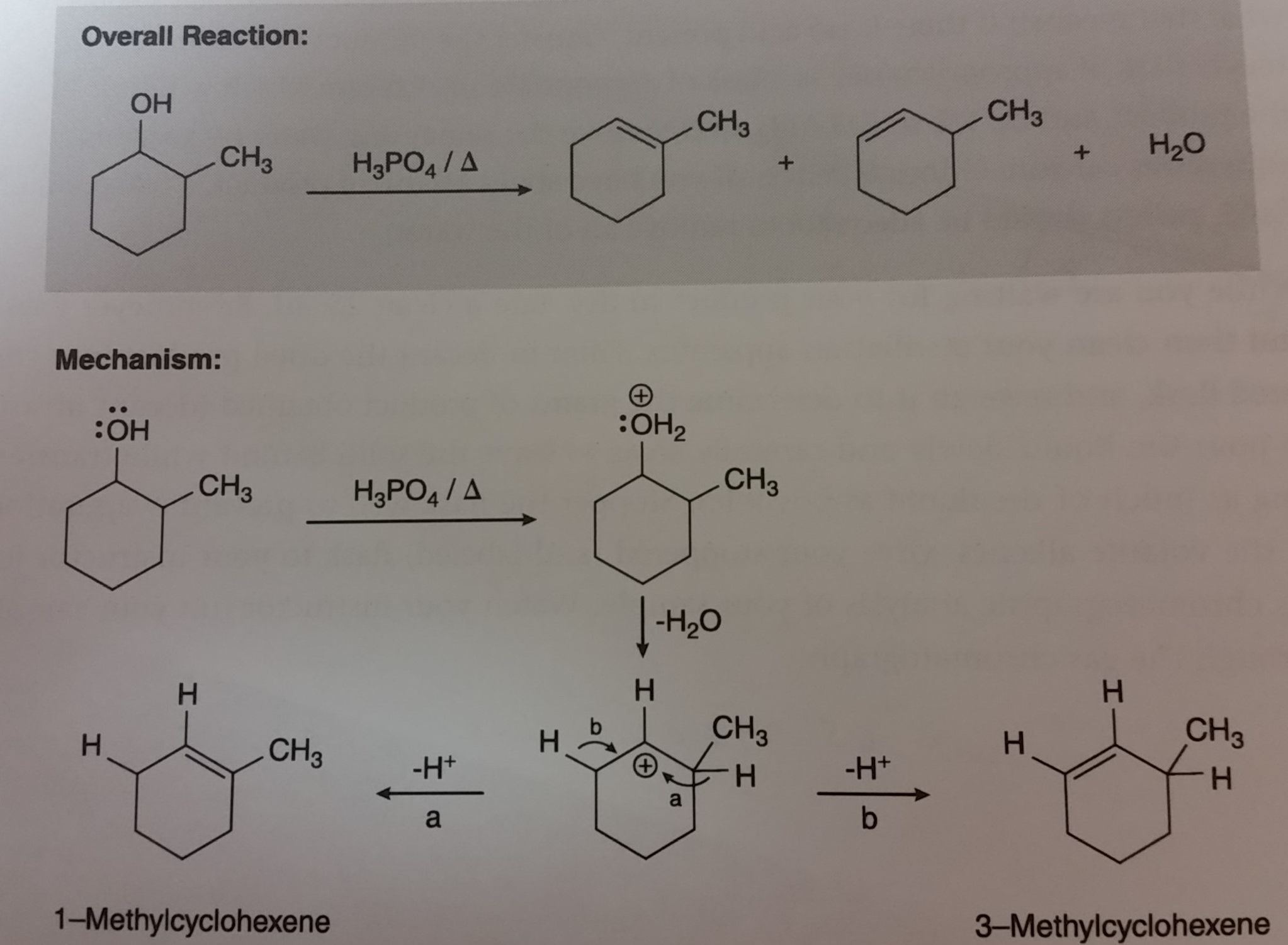 Solved Calculate the overall theoretical yand actual yields | Chegg.com