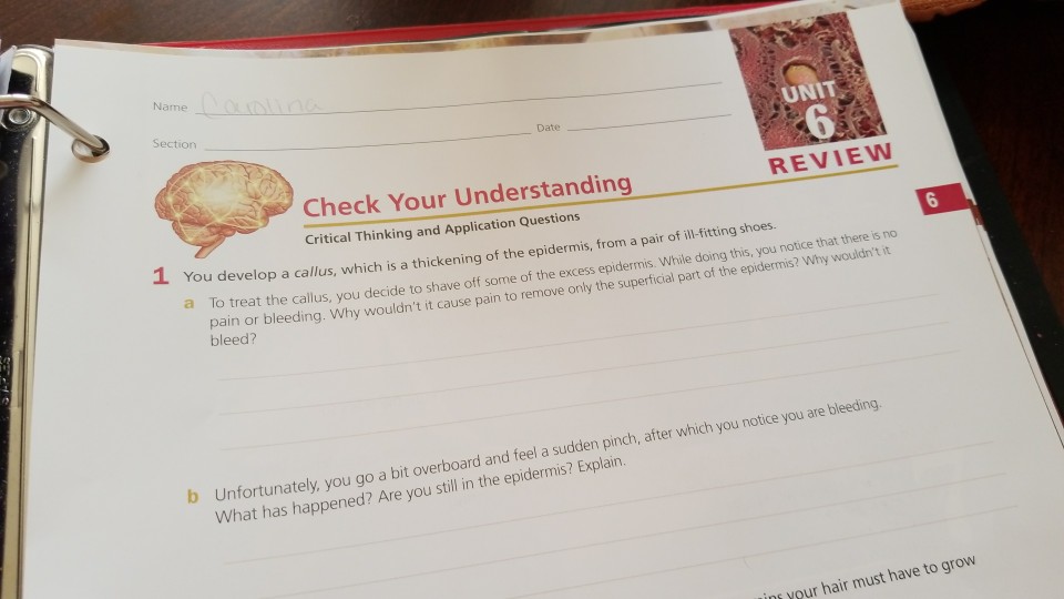 Solved Name Section UNIT Date 6 REVIEW Check Your | Chegg.com Solved Name Section UNIT Date 6 REVIEW Check Your | Chegg.com