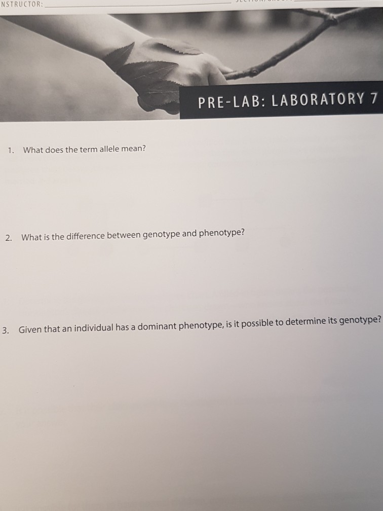 Solved NSTRUCTOR: PRE-LAB: LABORATORY 7 1. What does the | Chegg.com