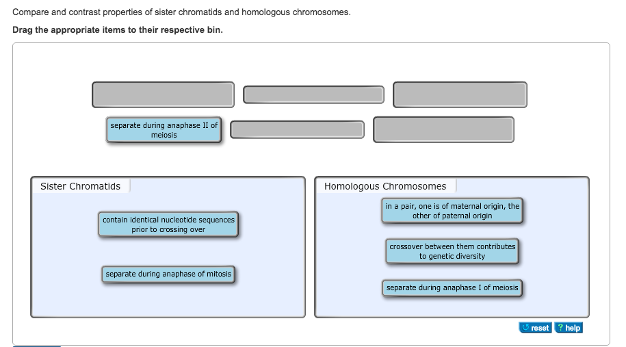 Solved Compare and contrast properties of sister chromatids | Chegg.com