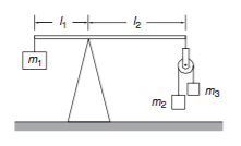 Solved A pivoted beam has a mass m1 suspended from one end | Chegg.com