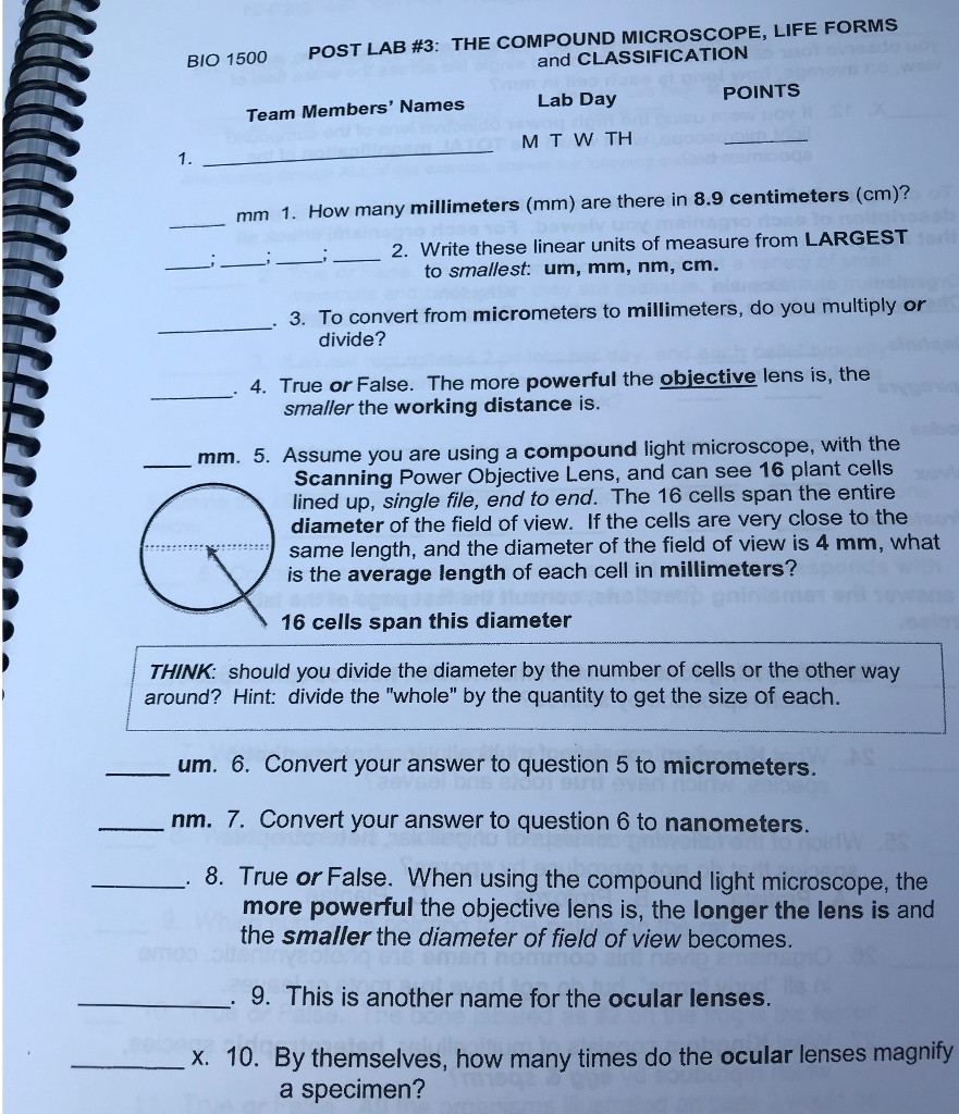 Solved POST LAB #3: THE COMPOUND MICROSCOPE, LIFE FORMS BIO | Chegg.com