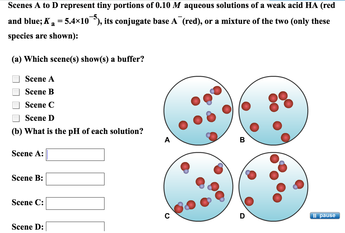 Solved Scenes A to D represent tiny portions of 0.10 M | Chegg.com