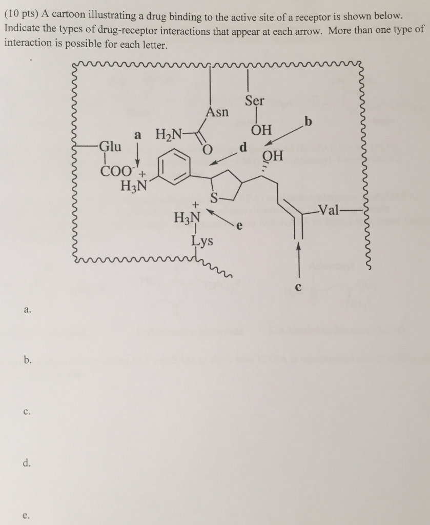 Solved (10 pts) A cartoon illustrating a drug binding to the | Chegg.com