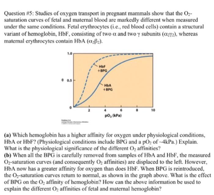 Solved Studies of oxygen transport in pregnant mammals show | Chegg.com