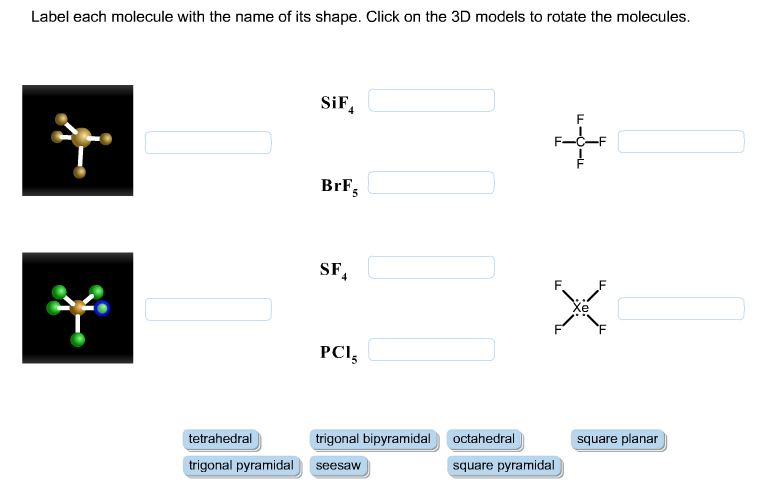 Solved Label each molecule with the name of its shape. Click | Chegg.com
