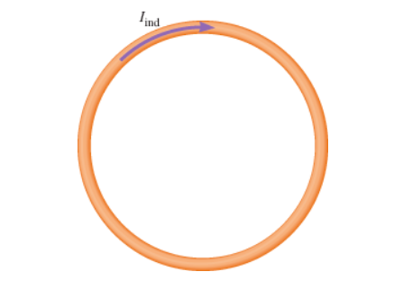 Solved The plane of a flat, circular loop of wire is | Chegg.com