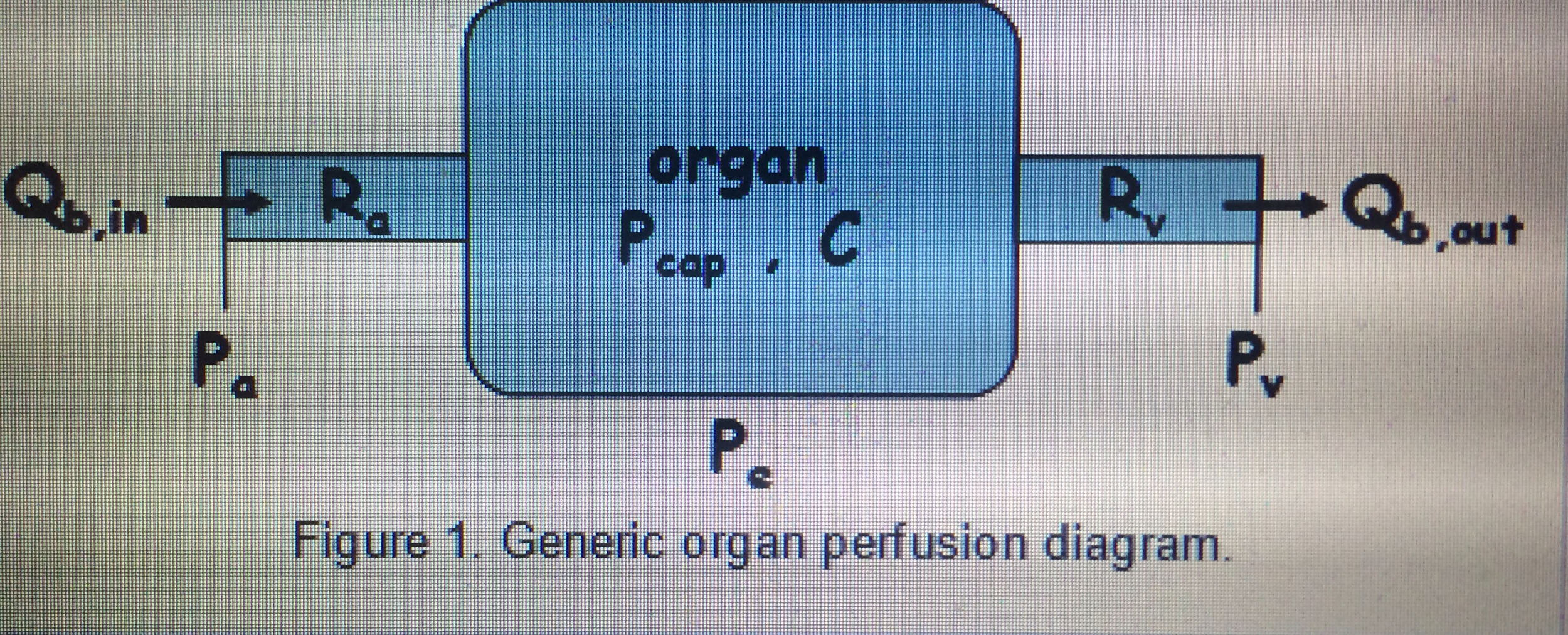 Solved (1) A generic organ perfusion diagram is illustrated | Chegg.com