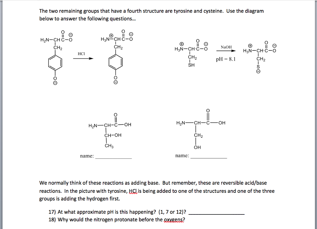 H2N CH-CO H3N CH-C- OH NaOH CH-CH3 CH-CH3 CH-CH3 HCl | Chegg.com